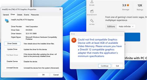 error compatible graphics device with at least 4gb while playing