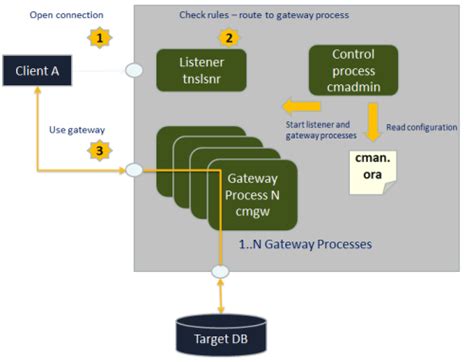 Dbasqlnetcmanconnectionmanager21c Gunther Oracle Apex Und