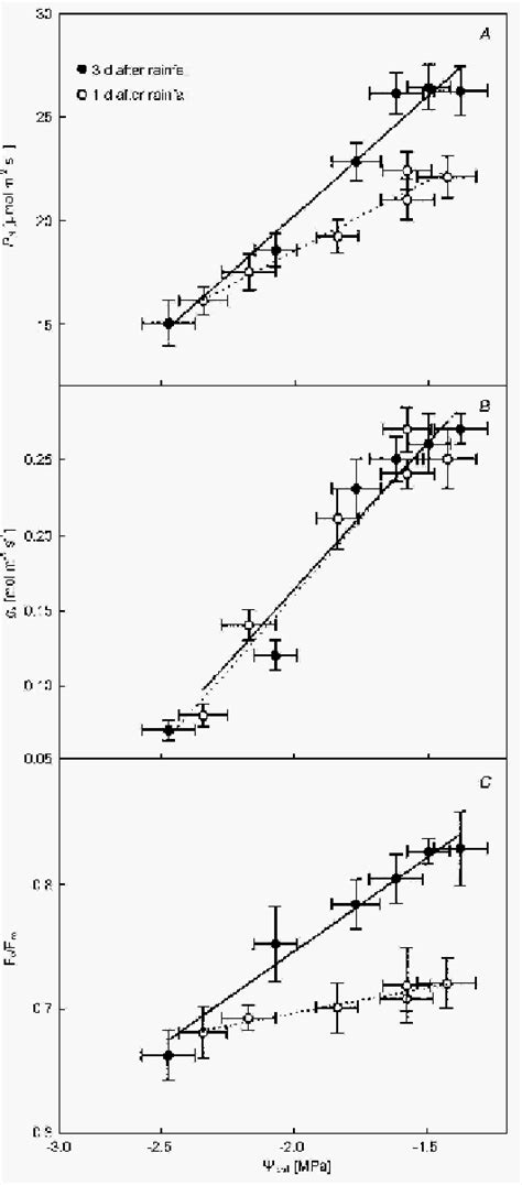 Relationship Between Leaf Water Potential Ψ Leaf And Net Download