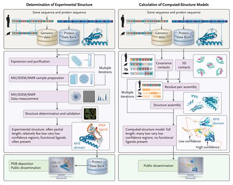 Predicting Proteome Scale Protein Structure With Artificial Intelligence New England Journal