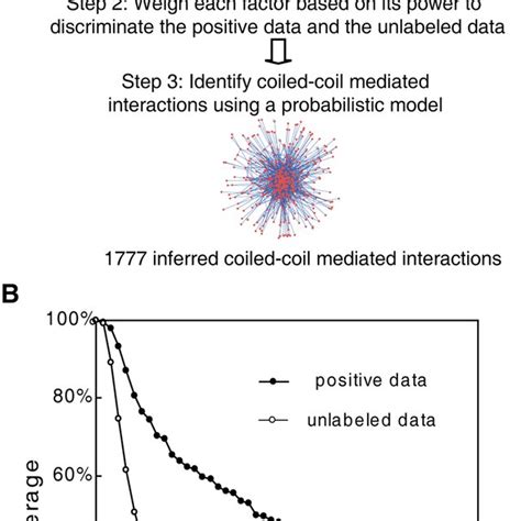 Properties Of The Cci Network A A Flowchart Illustrating The Download Scientific Diagram