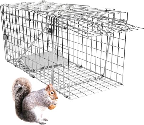Amazon.com : Qualirey 2 Pcs Humane Squirrel Trap Heavy Duty Live Animal Chipmunk Trap Catch and ...