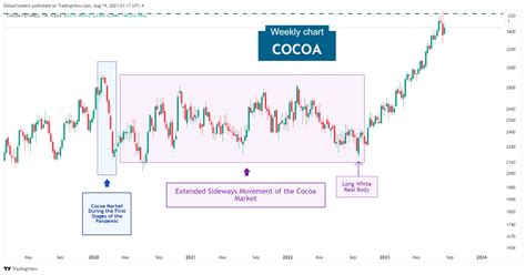 The Past And Future Of The Cocoa Market