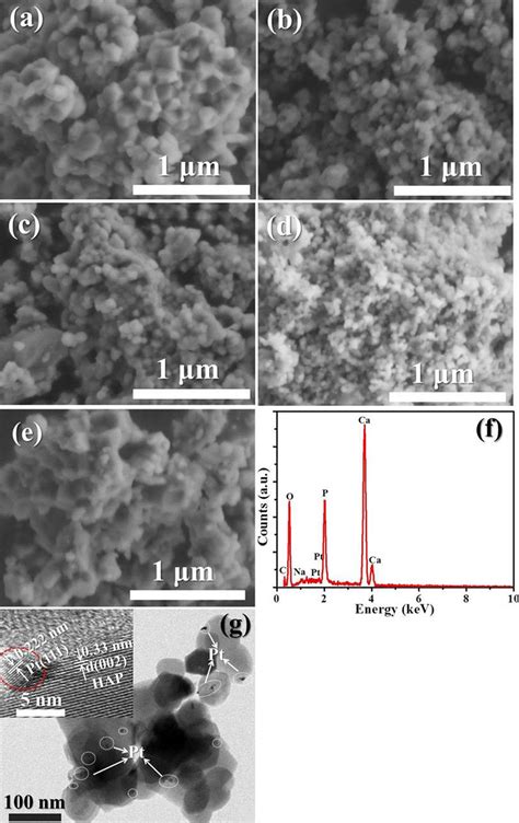 SEM Images Of HAPSC A Pt HAPHMT B Pt HAPSDS C Pt HAP D Download Scientific
