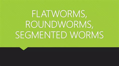 Flatworms Roundworms Segmented Worms Pptx