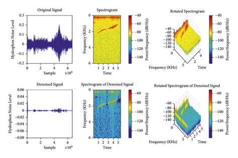 Typical Sound Presentations Produced By Dolphins And Whales And Their Download Scientific