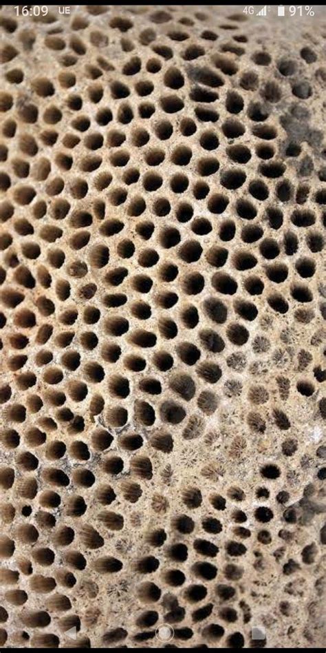 「weird」おしゃれまとめの人気アイデア｜pinterest｜britany Beebe サイケデリックアート 美しい