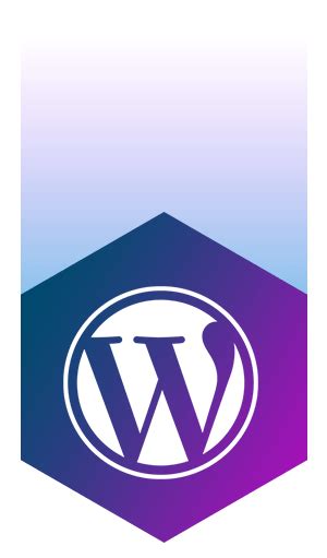 best website development company curl ware