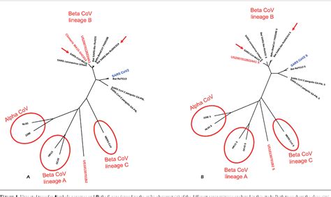 Figure From Bioinformatic Analysis Indicates That SARS CoV Is Unrelated To Known Artificial