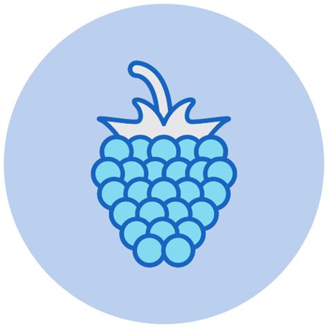 Raspberry Generic Color Lineal Color Icon