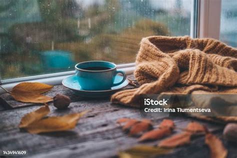 나무 가을 배경에 커피 한잔 창문 근처에 차와 단풍이 있습니다 비가 내리는 창문의 배경에 커피 10월에 대한 스톡 사진 및 기타 이미지 Istock
