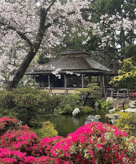 Spring Japan Tea Garden Wallpapers Wallpaper Cave