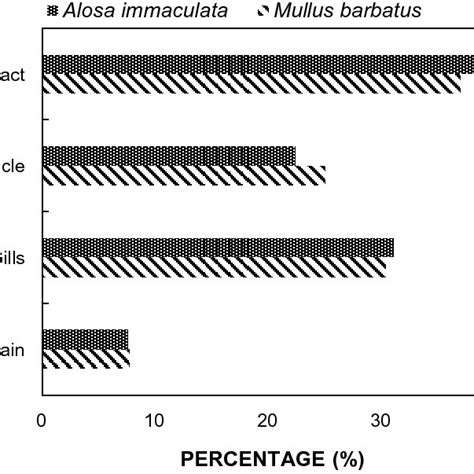 Size Range Of Microplastics Detected In Brain Gill Muscle And