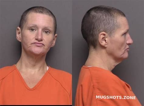 Swanigan Alisha Nicole 09192023 Saline County Mugshots Zone