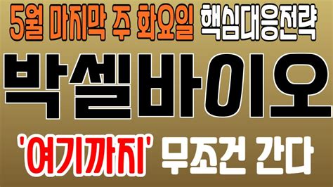 주식 박셀바이오 박셀바이오 주가전망 목표가 도달을 위한 전략 공개 Youtube