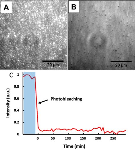 Figure 1 From Surface Templated Nanobubbles Protect Proteins From Surface Mediated Denaturation