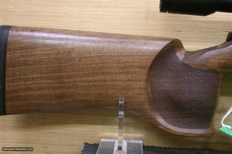 Cz 457 Varmint Mtr Match 22 Lr With Mueller Scope