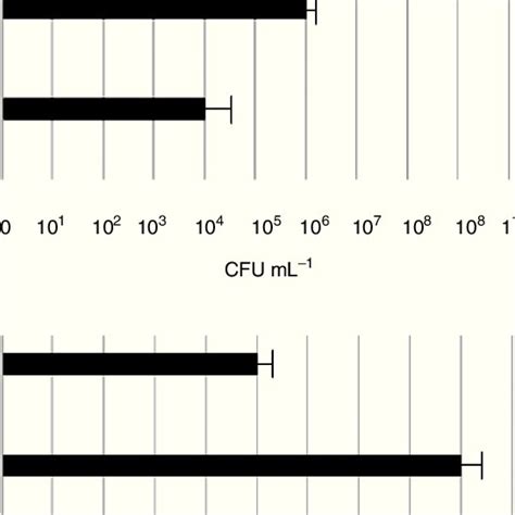 Microbial Identification By Maldi Tof Ms Technique A Inoculum Kefir