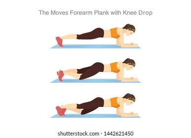 Exercise Diagram Forearm Plank Knee Drop Stock Vector Royalty Free