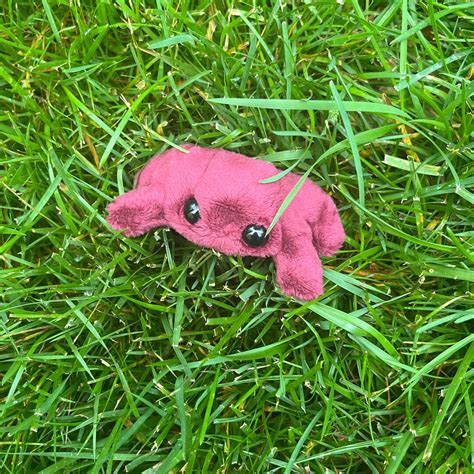 Small Frog Plush Etsy