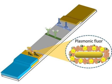 Novel Lateral Flow Assay Is 1000 Times More Sensitive Than