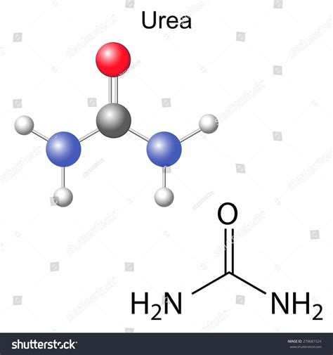 Structural Chemical Formula And Model Of Urea Molecule 2d And 3d