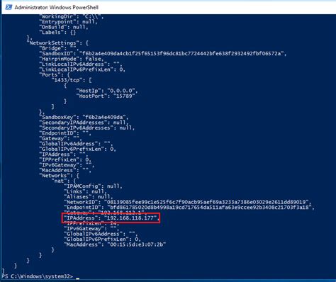 Persisting Data In Docker Containers Part Two Dba From The Cold