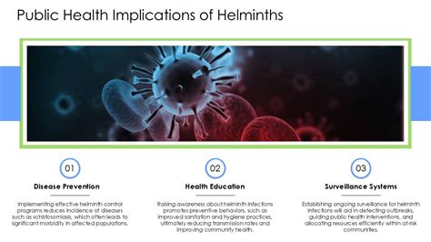 Difference Between Helminths And Protozoa Ppt Graphics Acp Ppt Sample