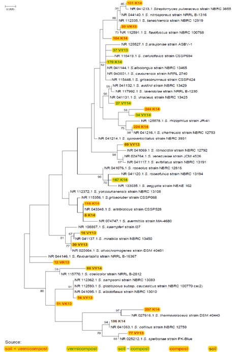 Phylogenetic Dendrogram Obtained By Neighbour Joining Analysis Based On