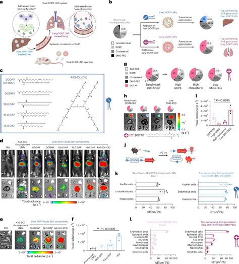 转发：新型基因编辑递送系统可同步治疗双器官 这项发表于最新一期《自然·生物技术》杂志 课题组新闻 张黎明课题组 天然大分子基功能材料