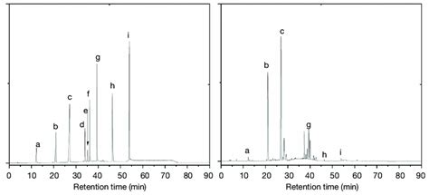 Hplc Chromatograms Of Reference Materials A And Samples B A Download Scientific Diagram