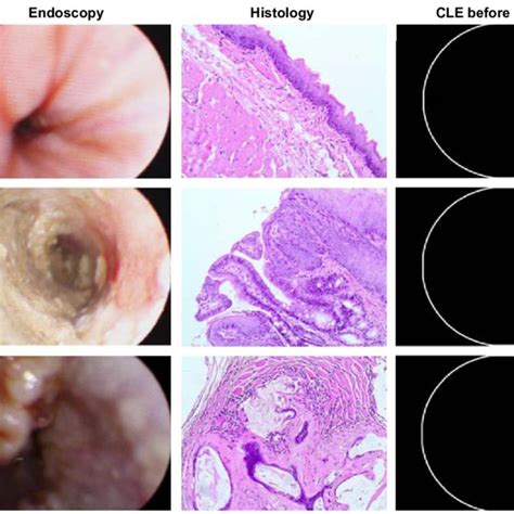 Schematic Drawing Of Microfluidic Precipitation Device Notes The Download Scientific Diagram