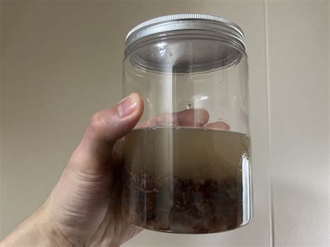 レーズンから酵母を収穫する方法 Cullage Box