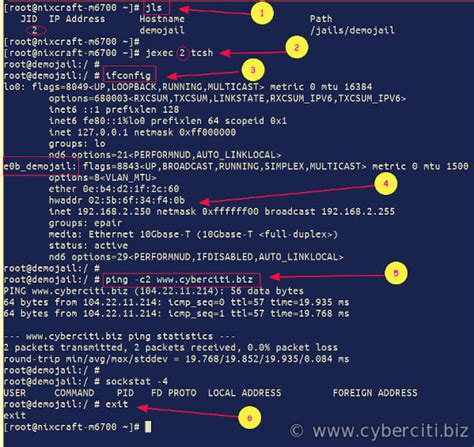 How To Set Up FreeBSD VNET Jail With ZFS NixCraft