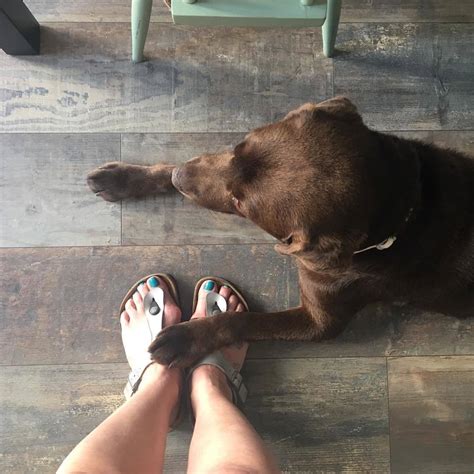 Sofia Nicholsons Feet