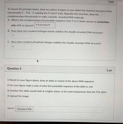 Solved To Answer The Prompts Below Draw On A Piece Of Paper