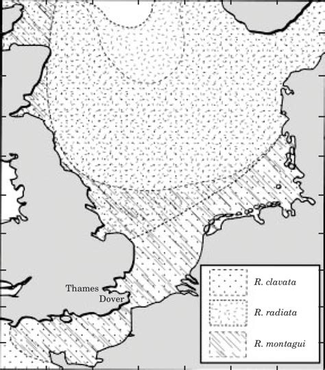 distribution of the three rays species described download scientific