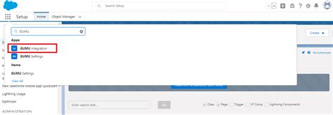 Promote Salesforce Contact To Sage Intacct Customer Contact