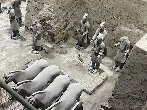 2023 情周到，专业的服务，让我们第一次来西安的人，倍感亲切，喜欢上了这个城市，谢谢导游帅哥，谢谢西安 秦始皇帝陵博物院 丽山园 评论 去哪儿攻略