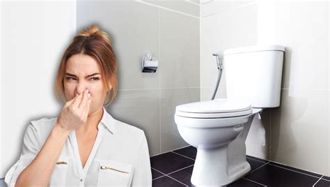 Cómo Evitar El Olor A Baño En La Casa Usando Vinagre Y Un Par De Consejos