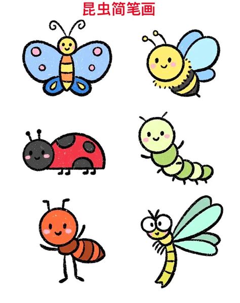 100种昆虫类简笔画大全（漂亮11张） 简笔画图片大全