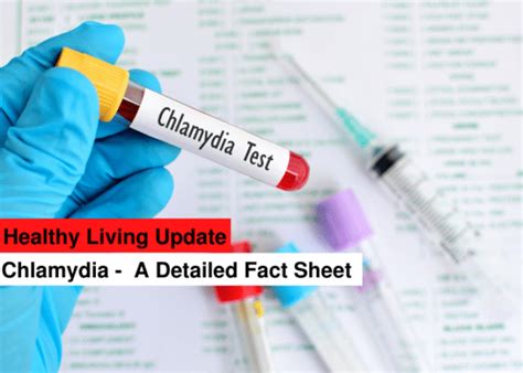 Chlamydia A Detailed Fact Sheet Medmate