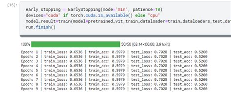 pretrain model vision transformer in pytorch