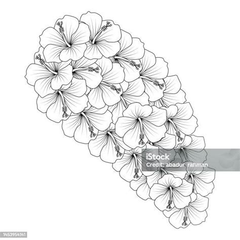 샤론의 장미 색칠 페이지 그림 흑백 손으로 그린 라인 아트 획 Hibisceae에 대한 스톡 벡터 아트 및 기타 이미지