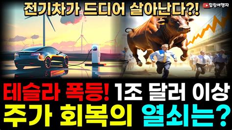 힐링여행자 미국 주식 브리핑 빅 7의 아픈 손가락 테슬라 드디어 전기차 산업 본격적인 반등이 1조 달러 주가 회복의 열쇠는 바로 이것 Youtube