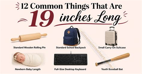 12 Common Things That Are 19 Inches Long 2026