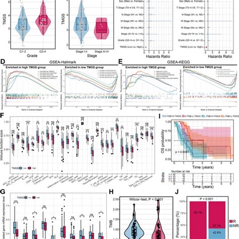 Tmgs Identification And Validation In Multi Omics Datasets A Lasso