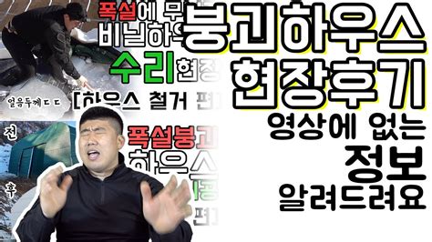 붕괴 하우스 영상 리뷰영상에 안나온 정보 공개수리비용 트러스 뒷이야기 비닐하우스 폭설 Youtube