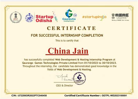 china jain on linkedin connections internshipcompletion experience