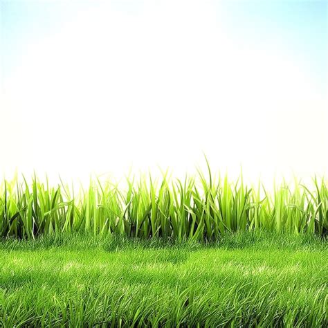 12000 Green Grass Background Realistic Style Pictures